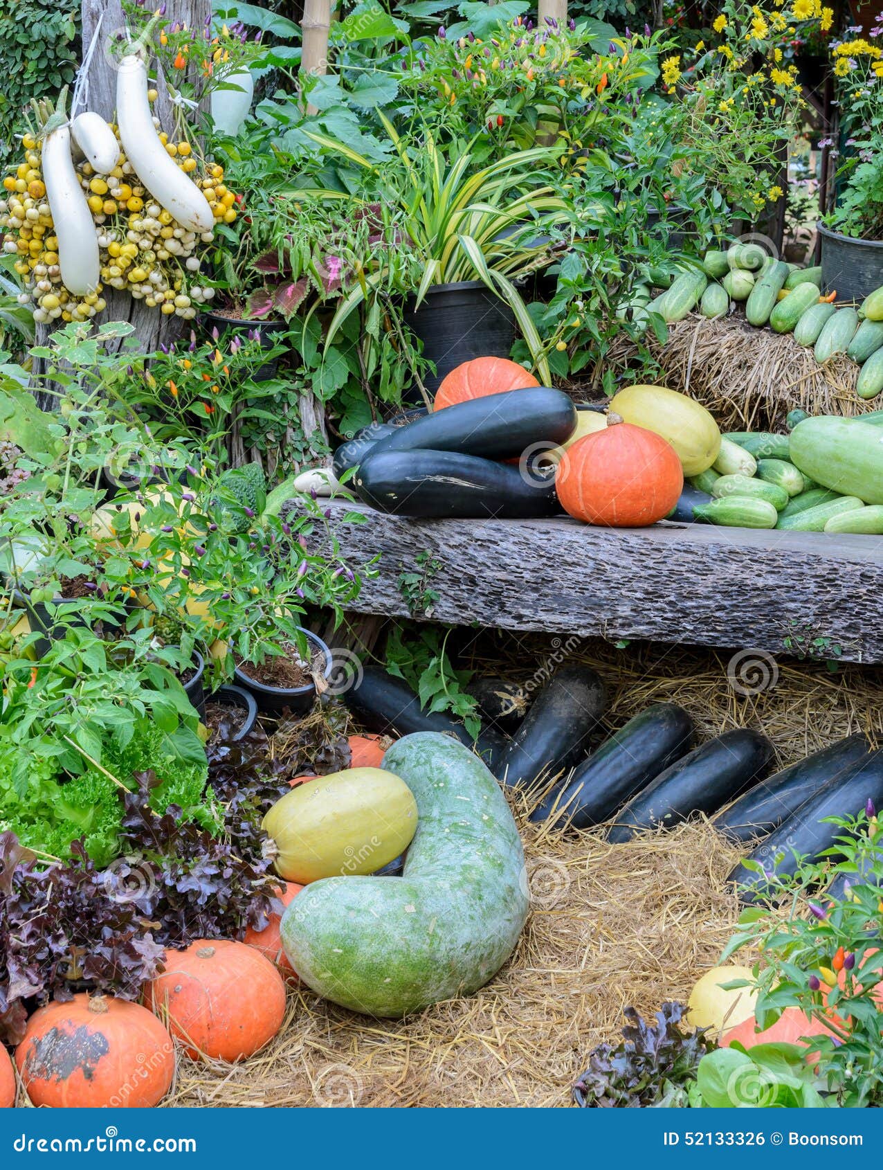 Decorated Ripe Vegetables Garden Stock Photo - Image of colorful, gourd ...
