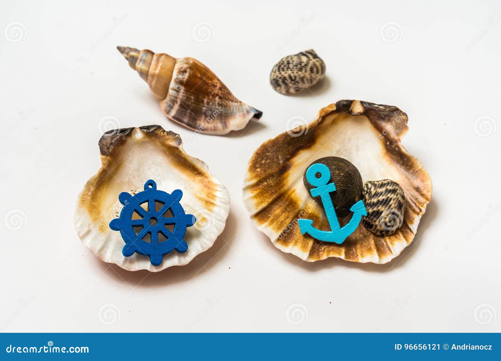 Decorated Sea Shells with Marine Wheel and Anchor Stock Image - Image ...