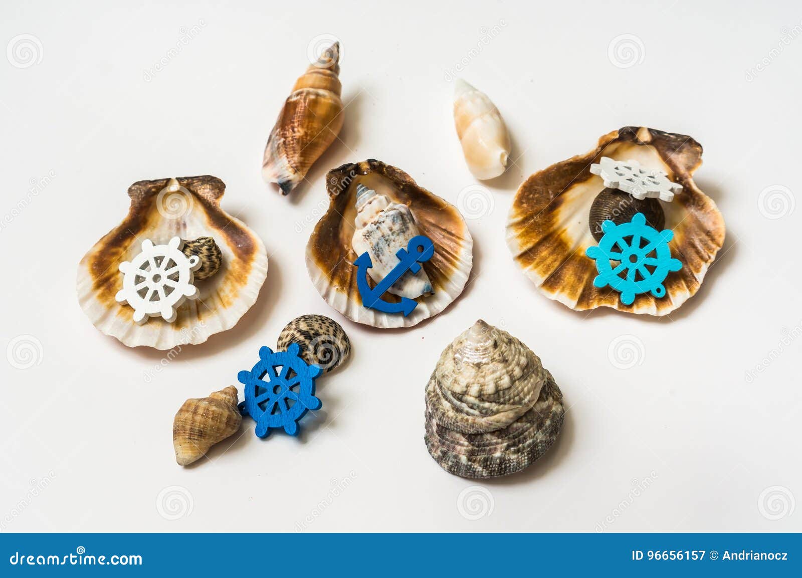 Decorated Sea Shells with Marine Wheel and Anchor Stock Image - Image ...