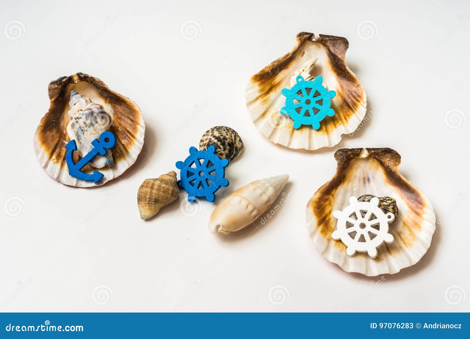 Decorated Sea Shells with Marine Wheel and Anchor Stock Image - Image ...
