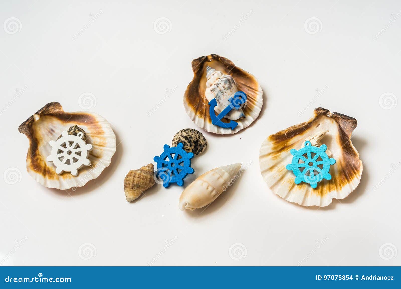 Decorated Sea Shells with Marine Wheel and Anchor Stock Photo - Image ...