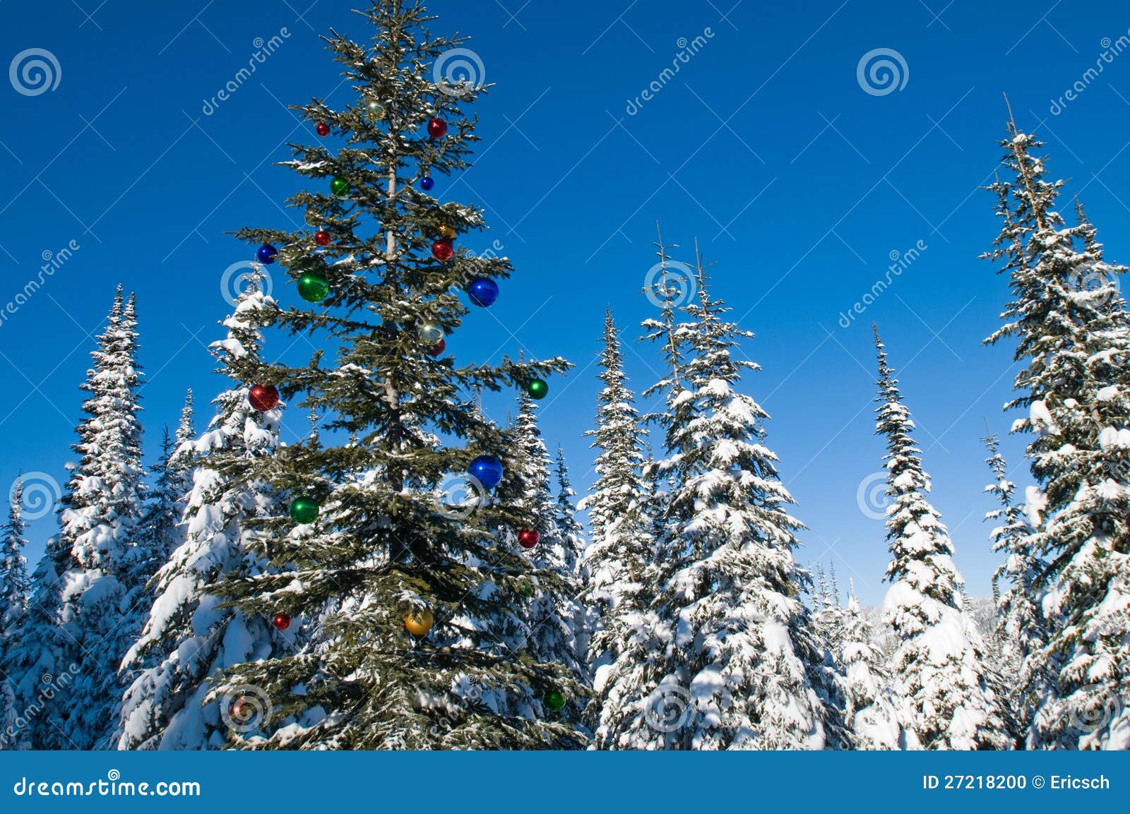 Decorated Seasonal Tree in a Winter Forest Stock Photo - Image of light ...