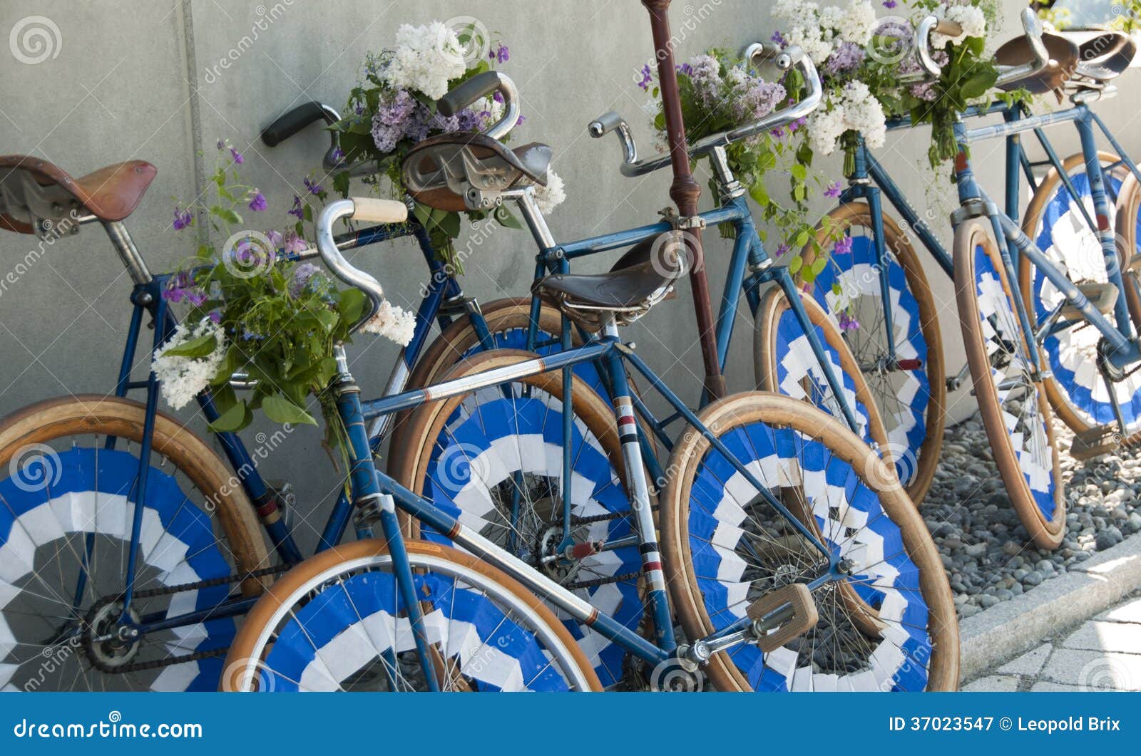 Ice Cycles Royalty-Free Stock Photo | CartoonDealer.com #66721383