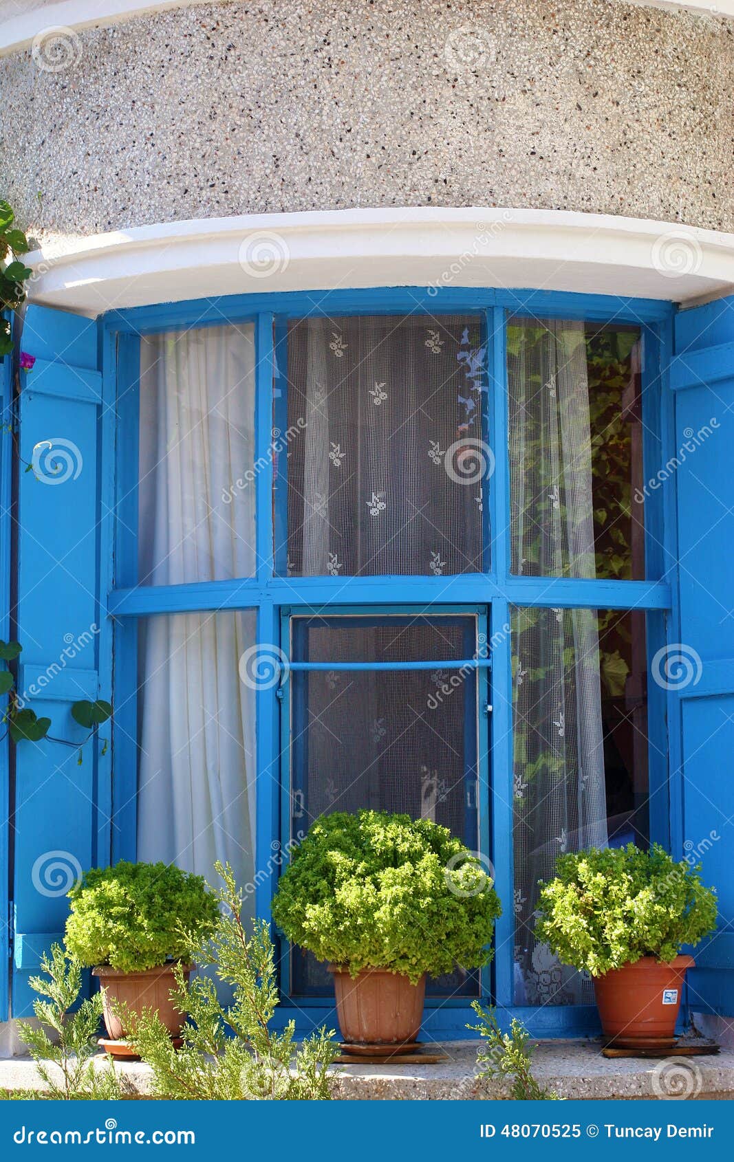 Decorated Turkey, Boazcaada Window Stock Image - Image of stucco, blue ...