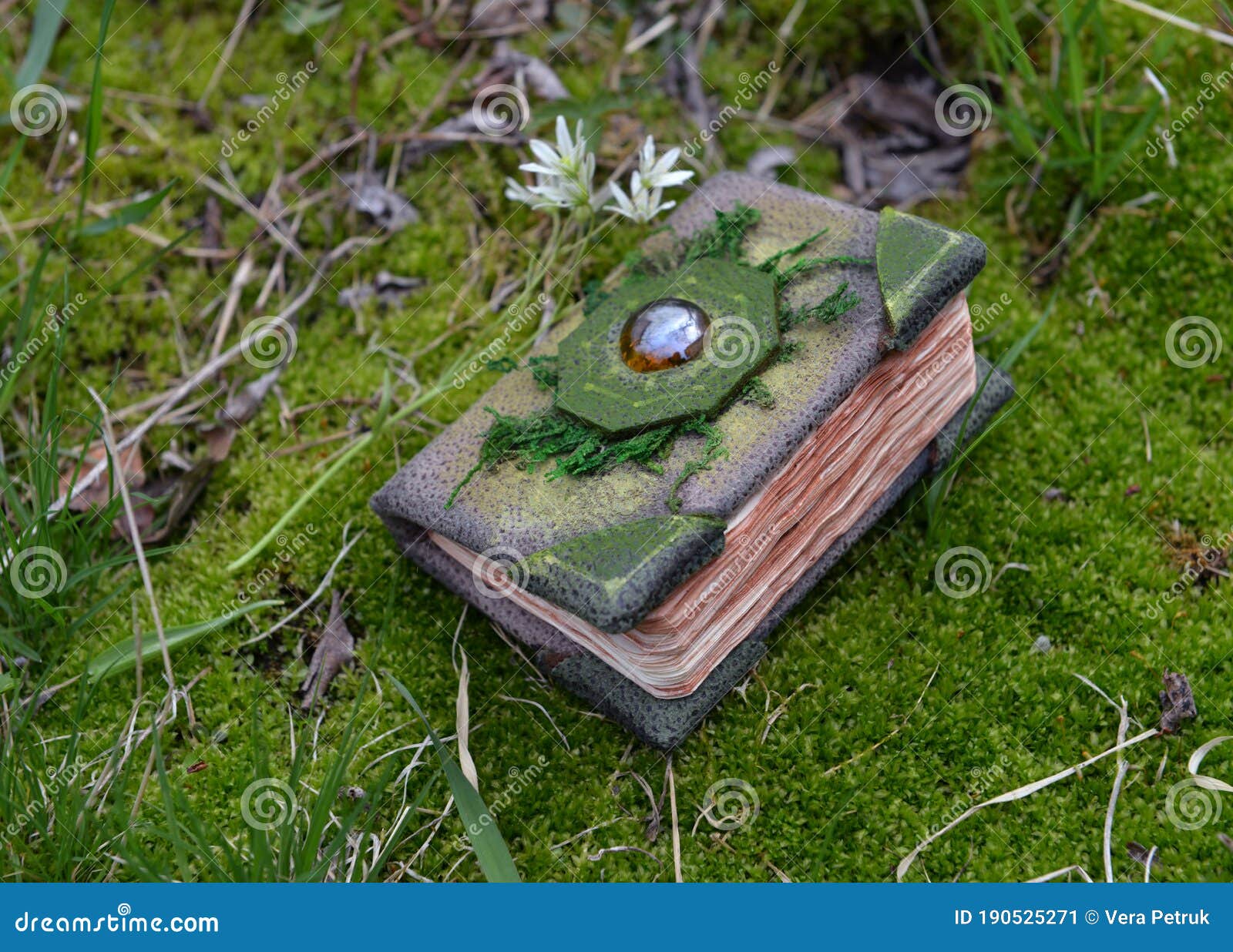 Decorated Witch Book of Spells on the Moss in the Forest Stock Image ...