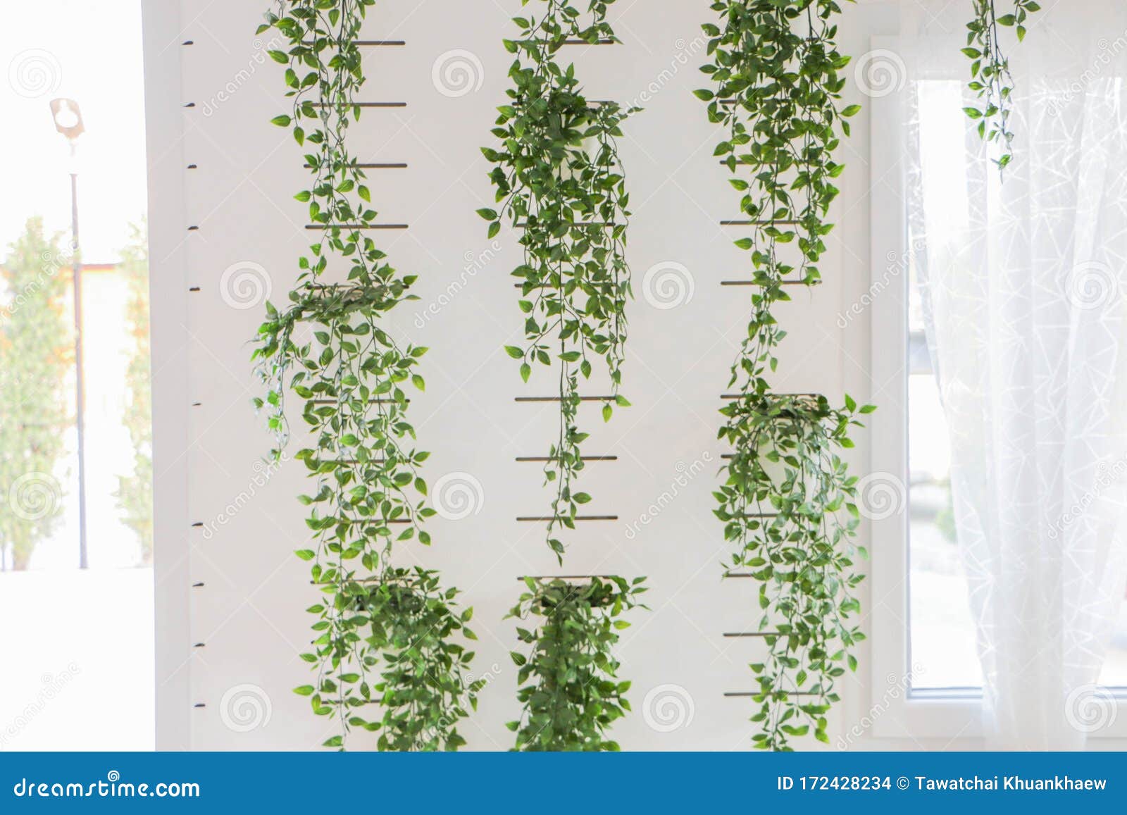 Decorating a House with Hanging Trees Stock Photo - Image of decorating ...