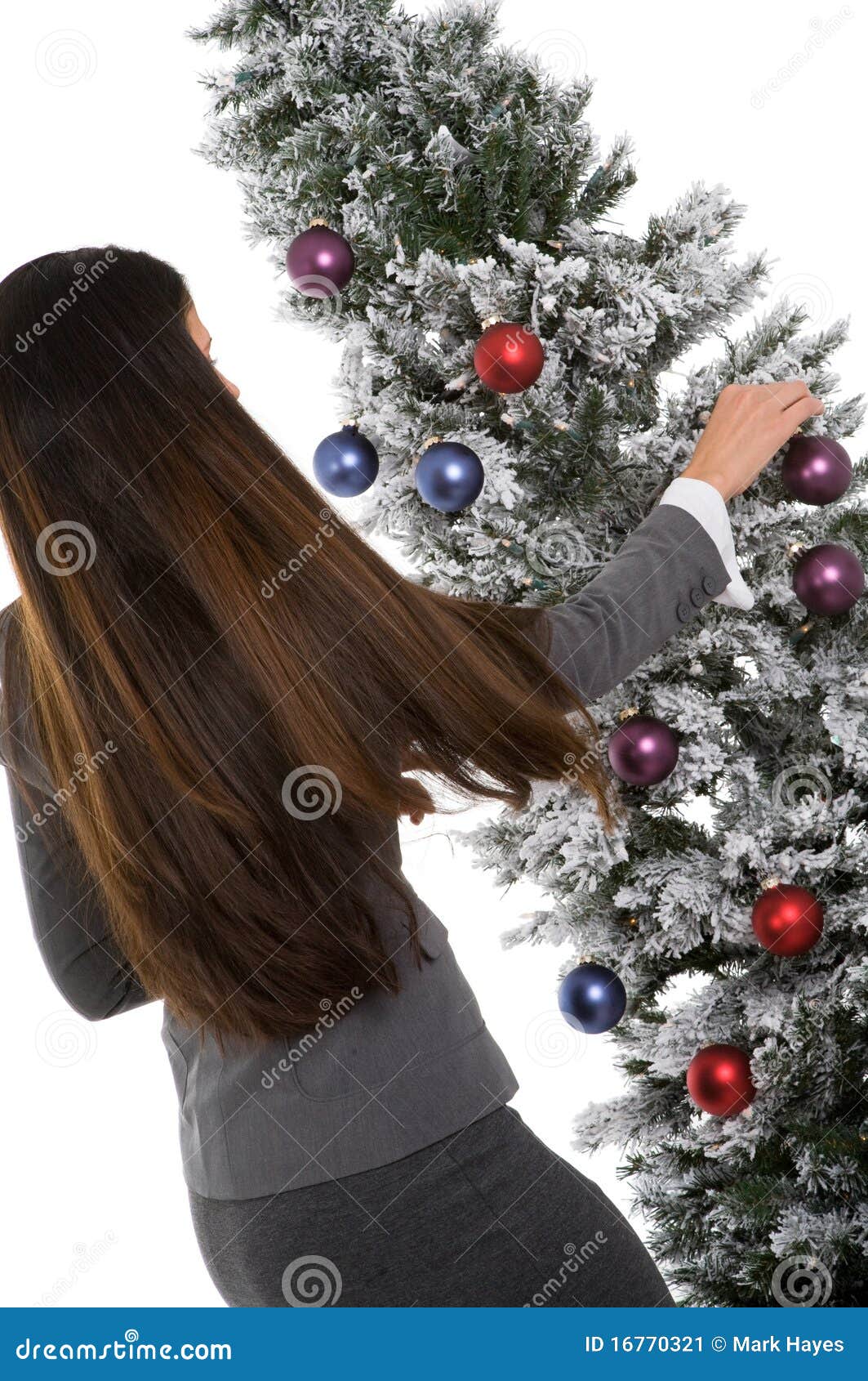Decorating Office Tree stock image. Image of businesswoman - 16770321