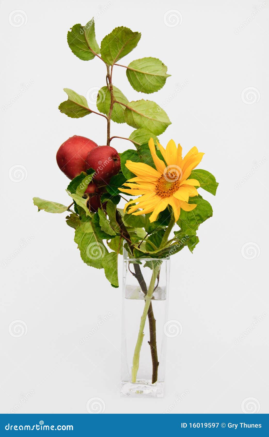 Decoration with Apples and Sunflower Stock Image - Image of autumn ...