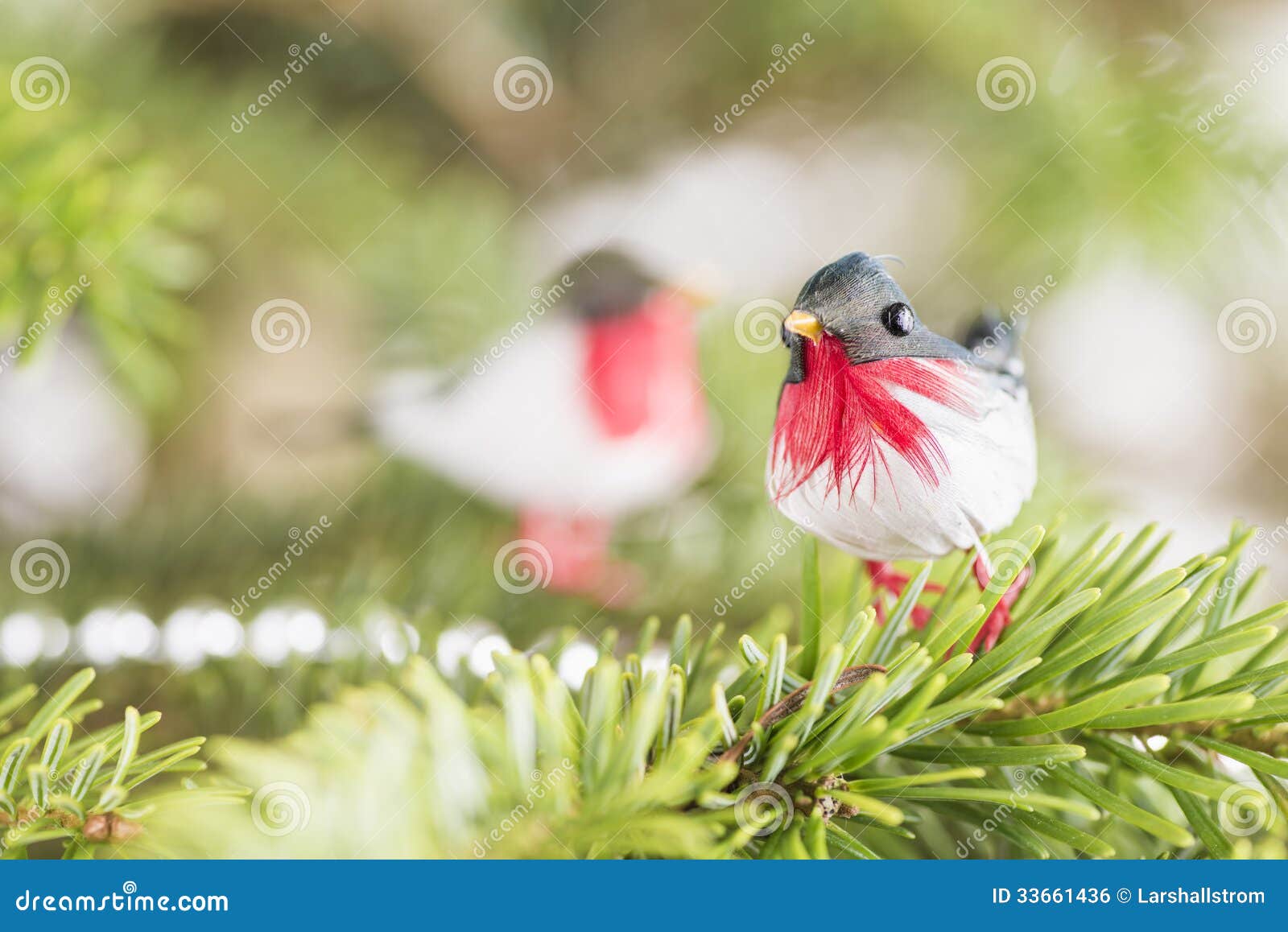 Decoration Bird in Christmas Tree Stock Photo - Image of celebrate ...