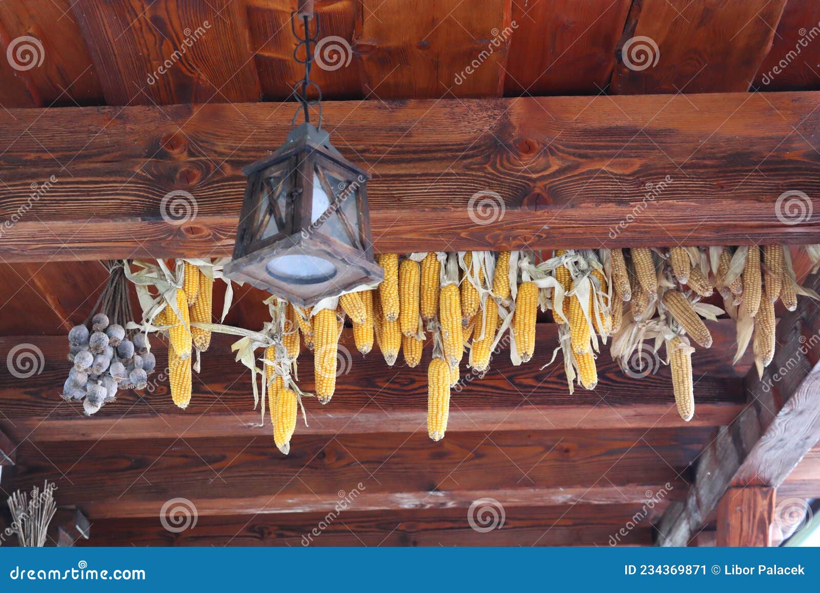 Decoration of Corn Cobs on the Ceiling. Wooden Building Stock Image ...