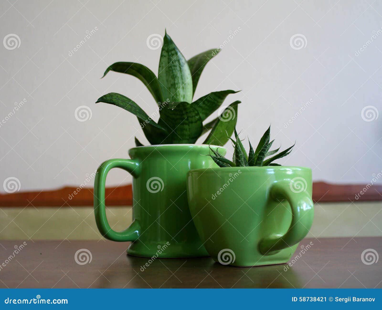 Decoration Design. Original Flower Pots in the Form of Tea Cups Stock ...