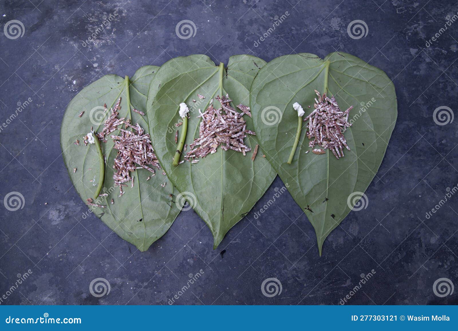 Decoration Green Betel Leaf or Pan on the Concrete Floor Stock Image ...