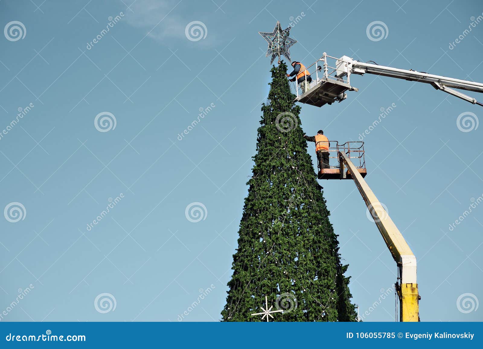 522 Christmas Tree Workers Photos - Free & Royalty-Free Stock Photos ...