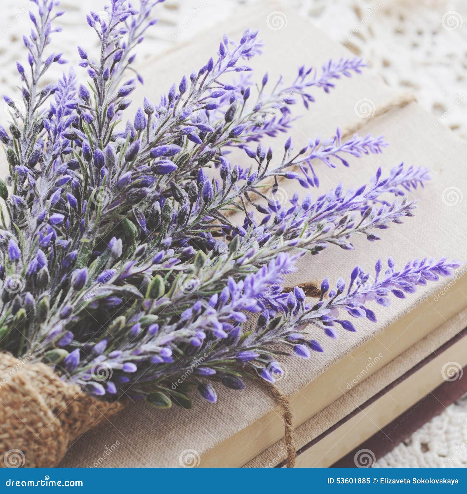 Decoration with Lavender Bunch upon Vintage Books Bundle Stock Image ...
