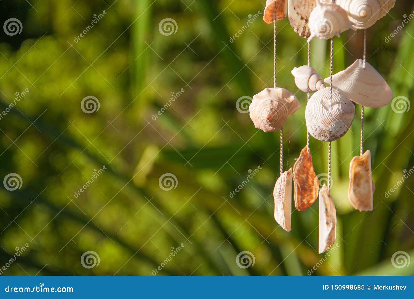Decoration Made of Sea Shells on the Thread Stock Image - Image of ...