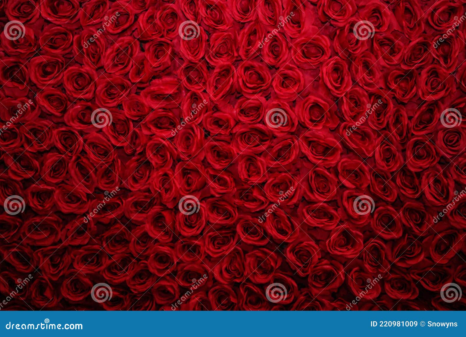 Decoration of Many Red Roses Flowers Stock Image - Image of love ...