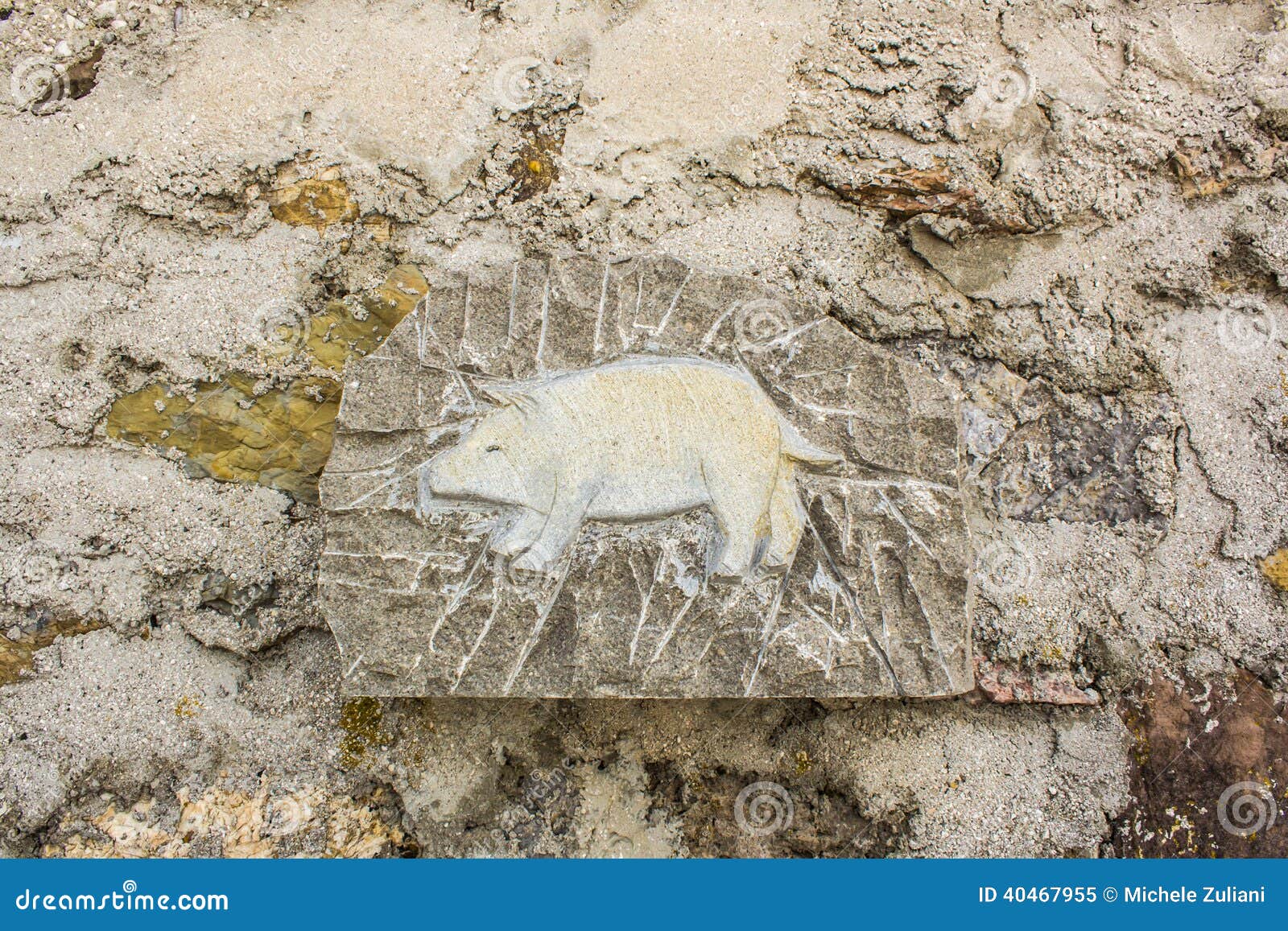 Decoration Pig Ancient Wall Stock Photos - Free & Royalty-Free Stock ...