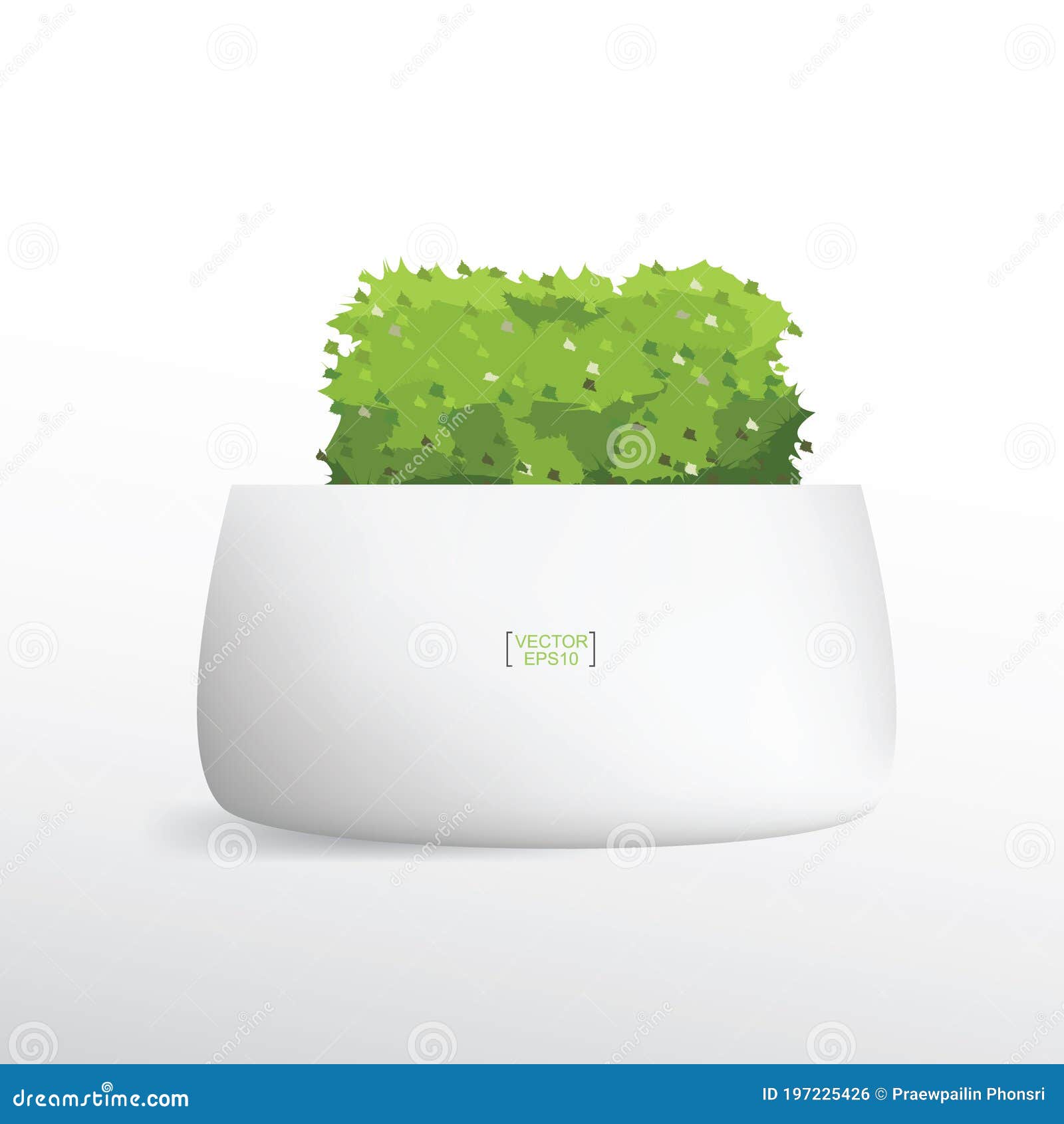 Decoration Plants in Flower Pot. Small Tree. Natural Object Idea for ...