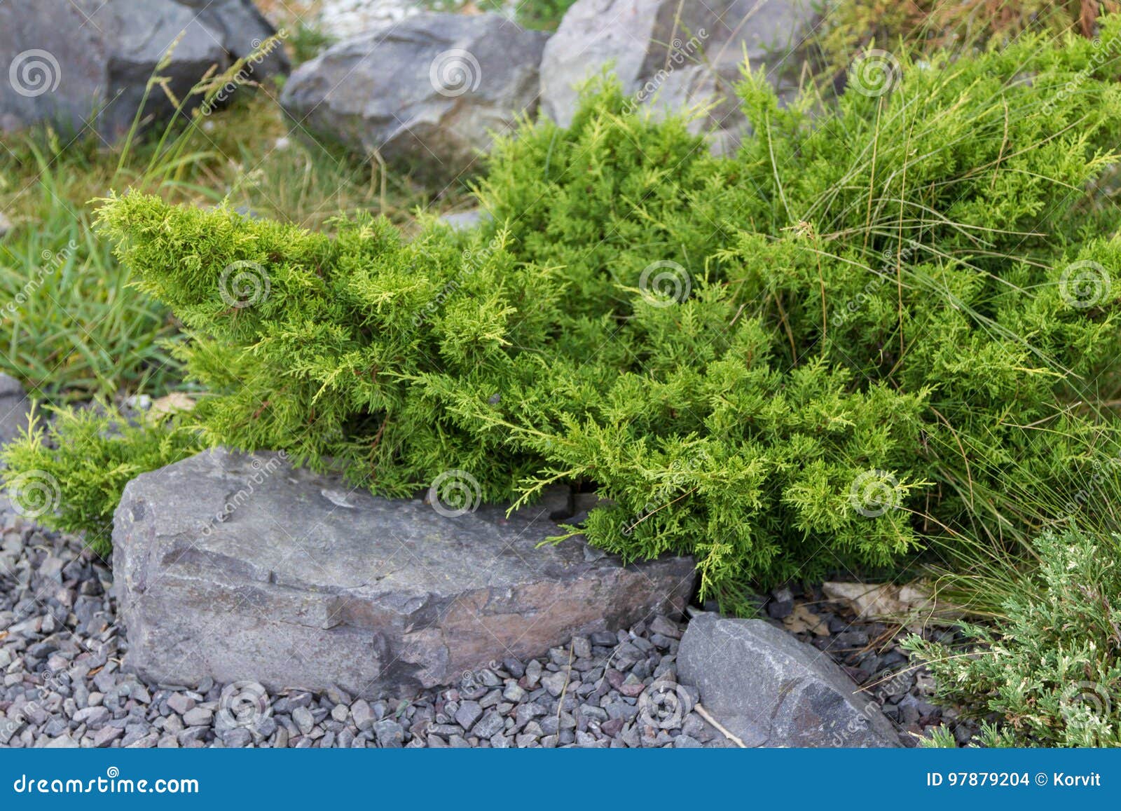 Decoration of a Private Plot with a Stone Stock Photo - Image of garden ...