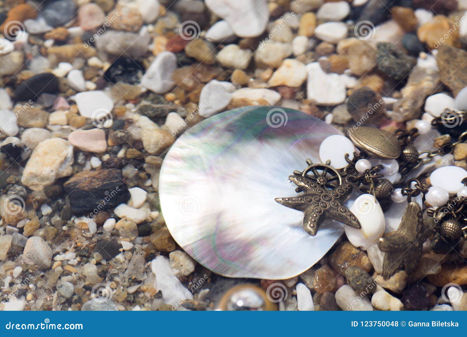 Decoration with a Seashell Shell Under the Sea Water,, Stock Photo ...