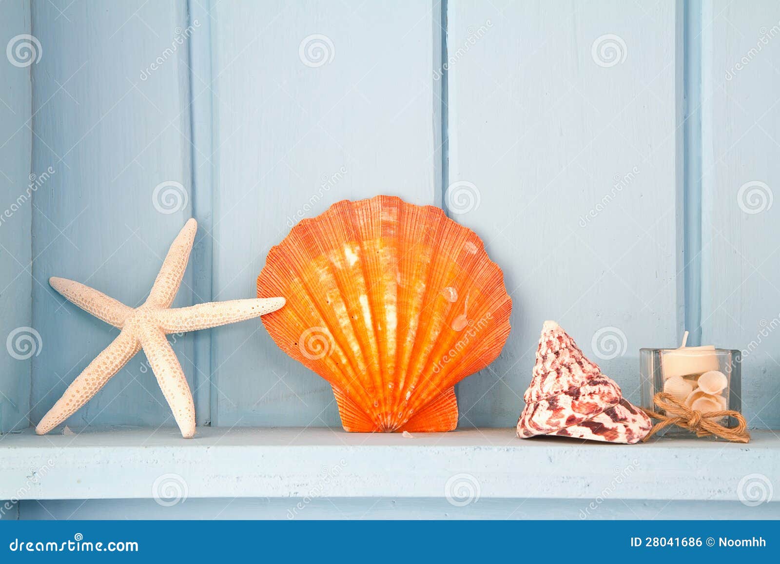 Decoration with shellfish stock photo. Image of home - 28041686