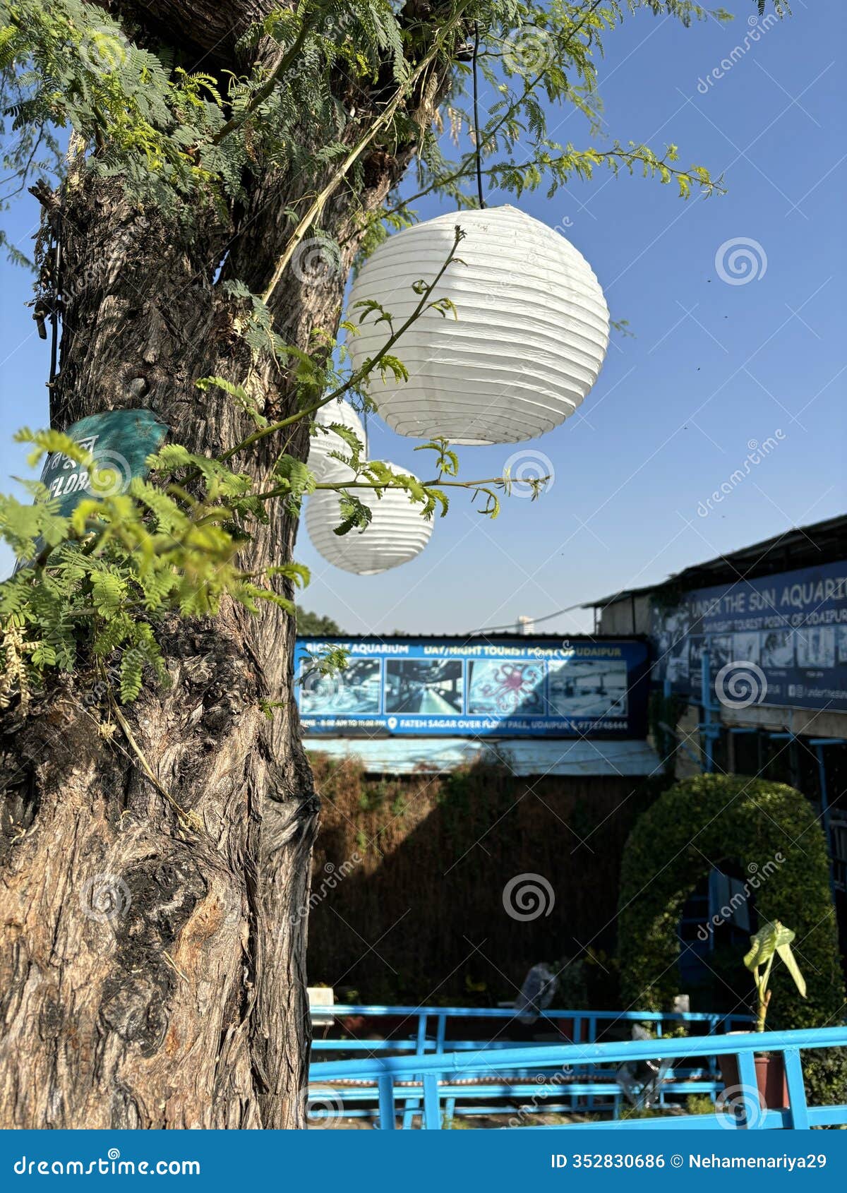 Decoration with tree stock photo. Image of tower, tourism - 352830686