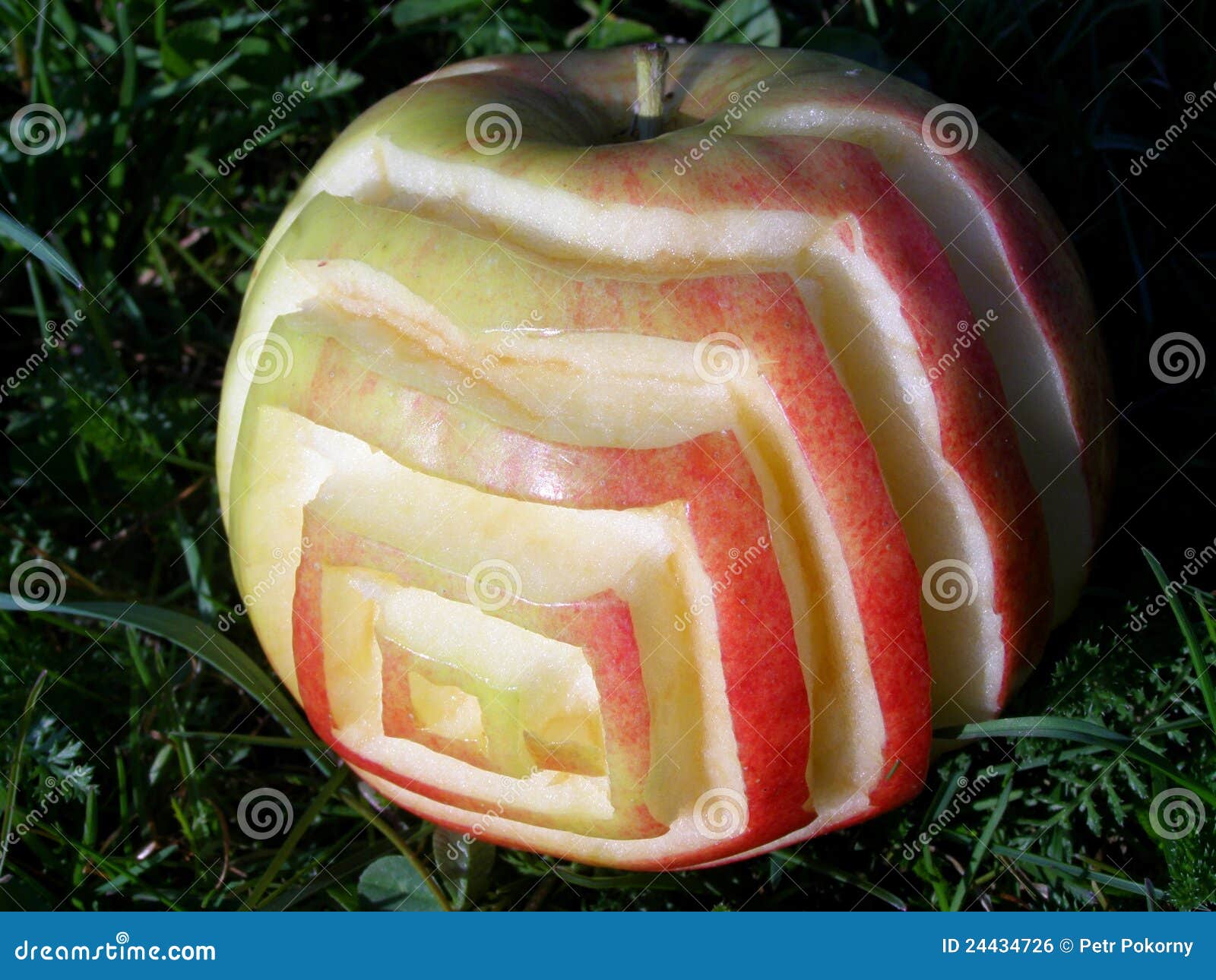 Decorative apple stock photo. Image of extraordinary - 24434726