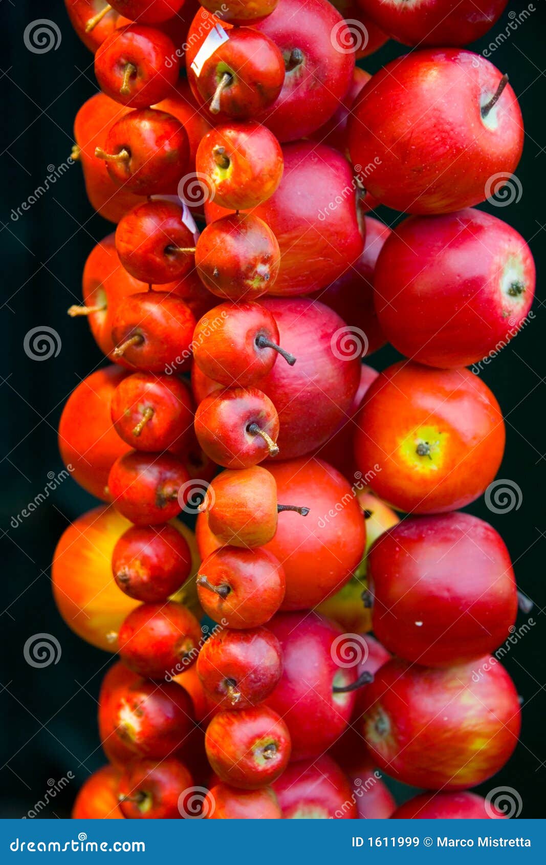 Decorative apples stock image. Image of decoration, shaped - 1611999