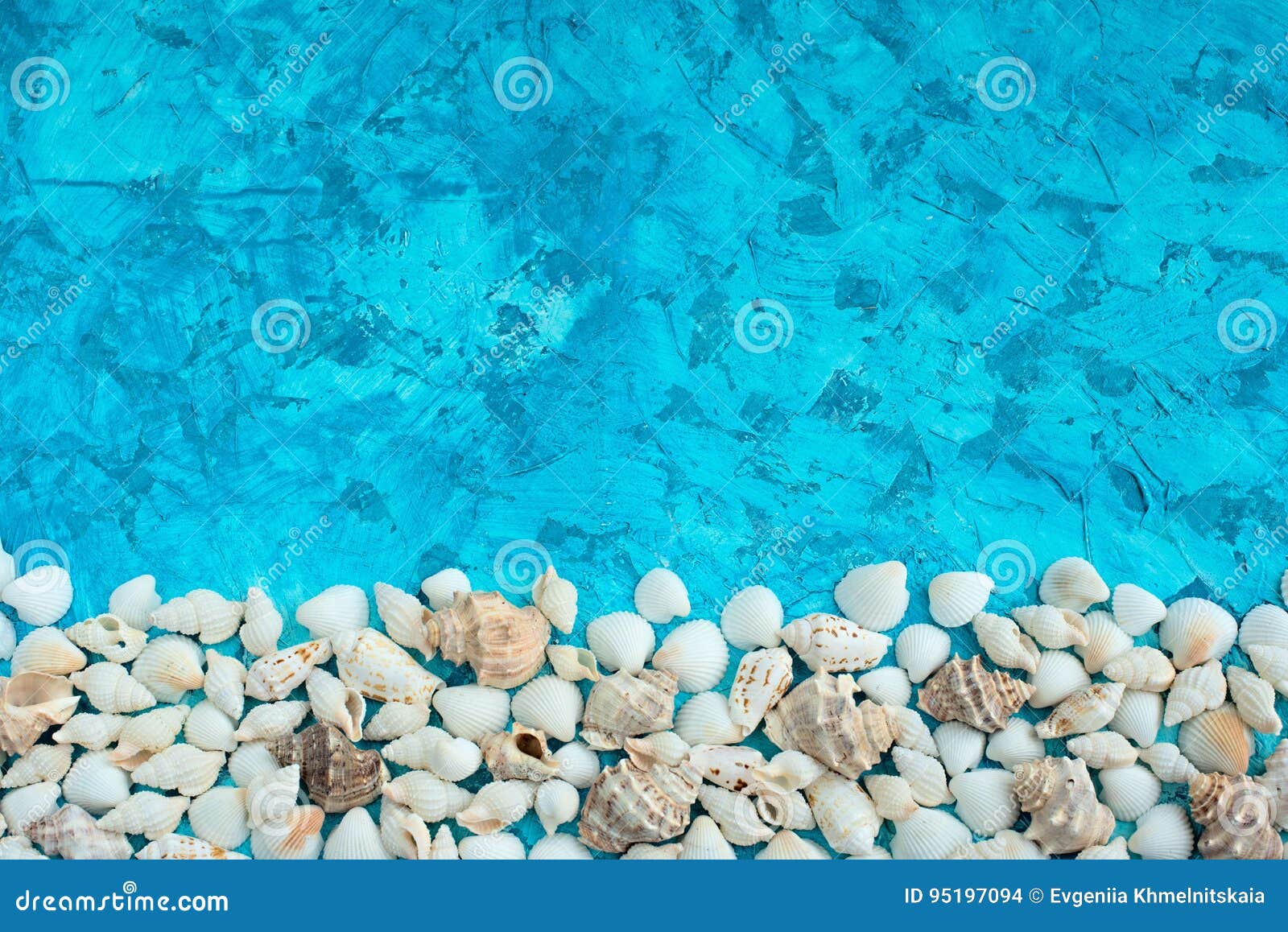 Decorative Arrangement of Sea Shells on a Blue Background Stock Photo ...