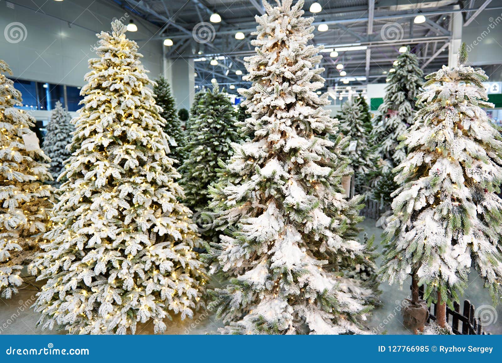 Decorative Artificial Christmas Trees in Store Stock Image - Image of ...