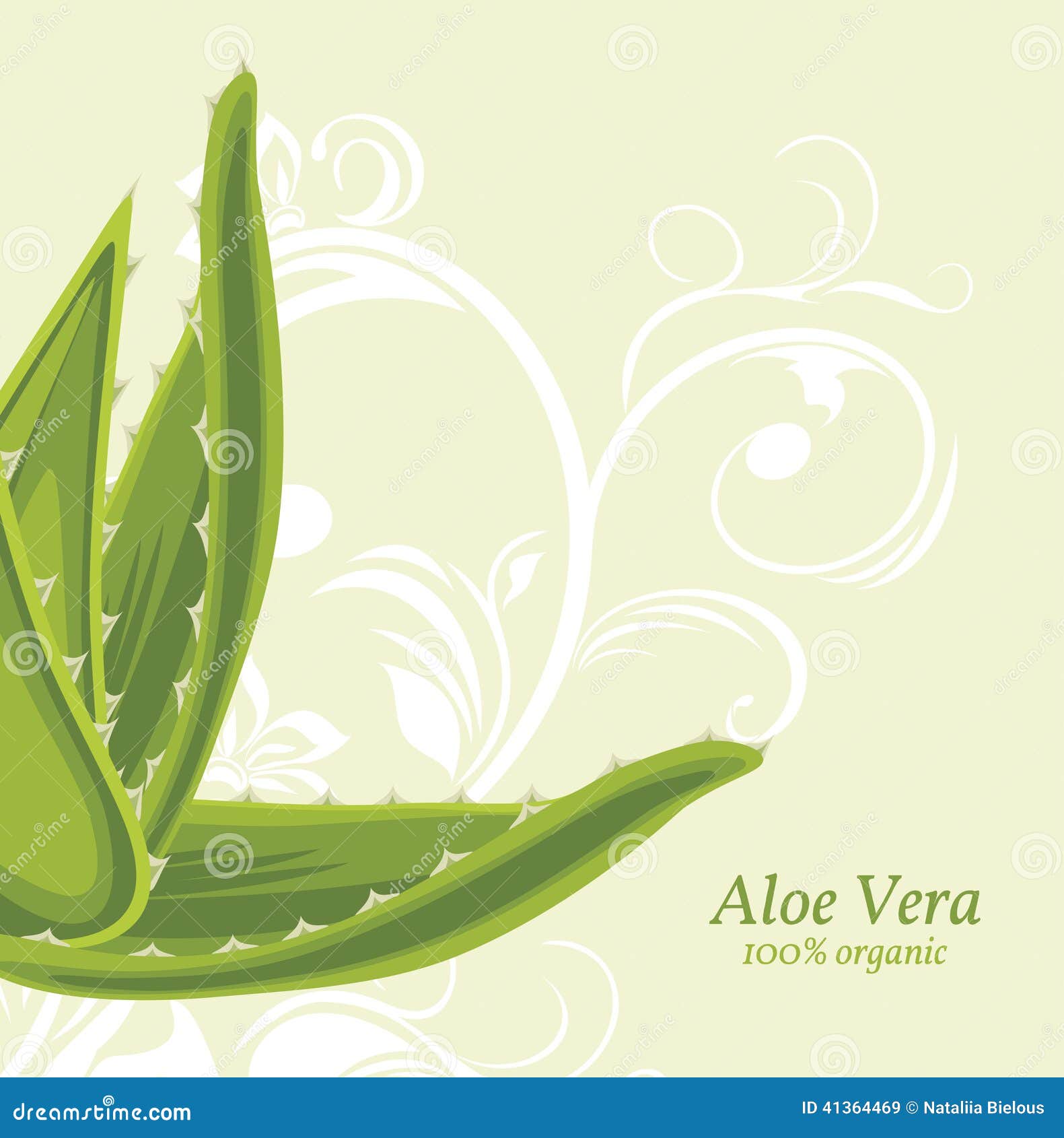 Decorative Background with Aloe Vera Stock Vector - Illustration of ...