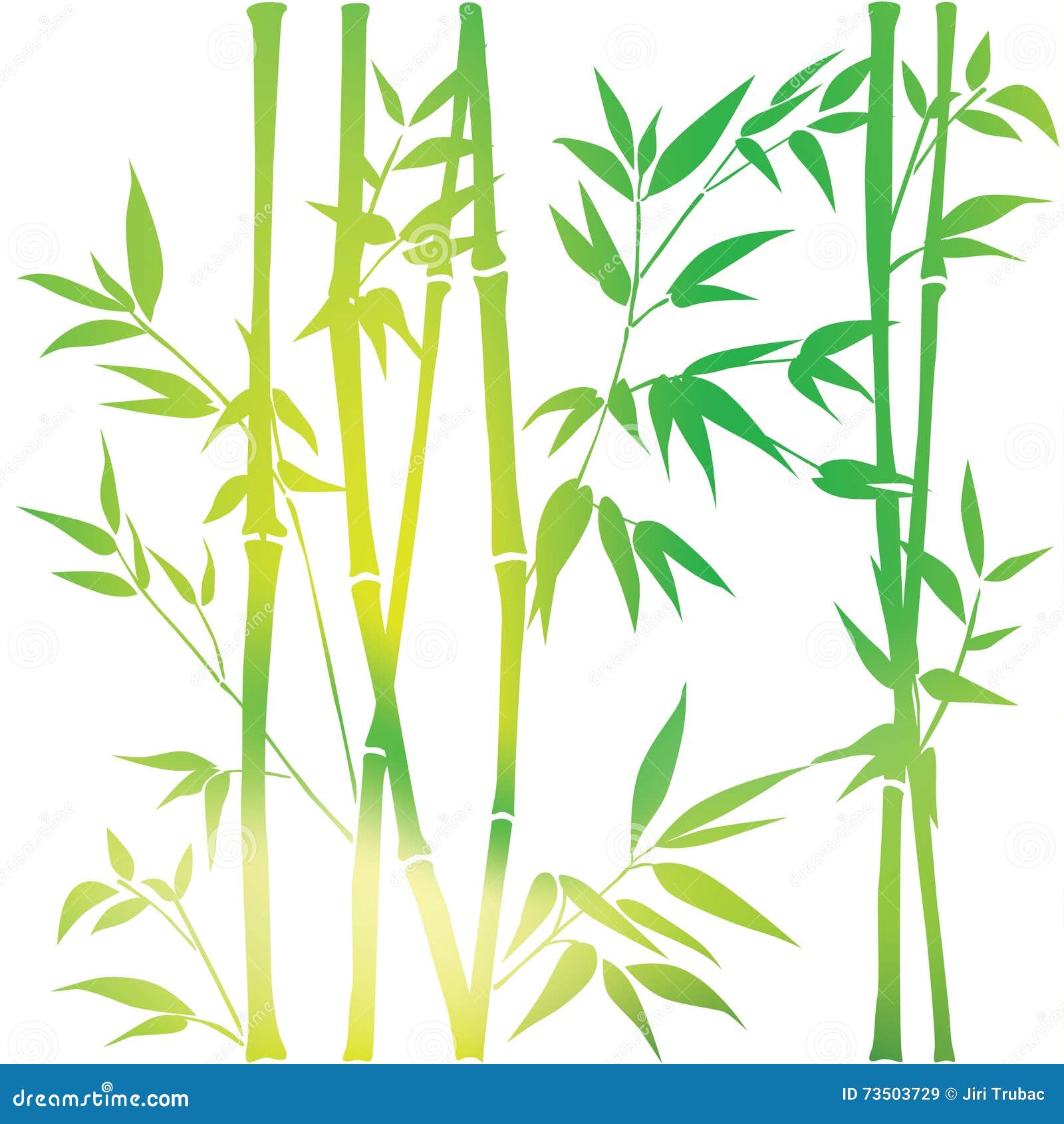 Decorative Bamboo Branches. Bamboo Forest Background. White-blue ...