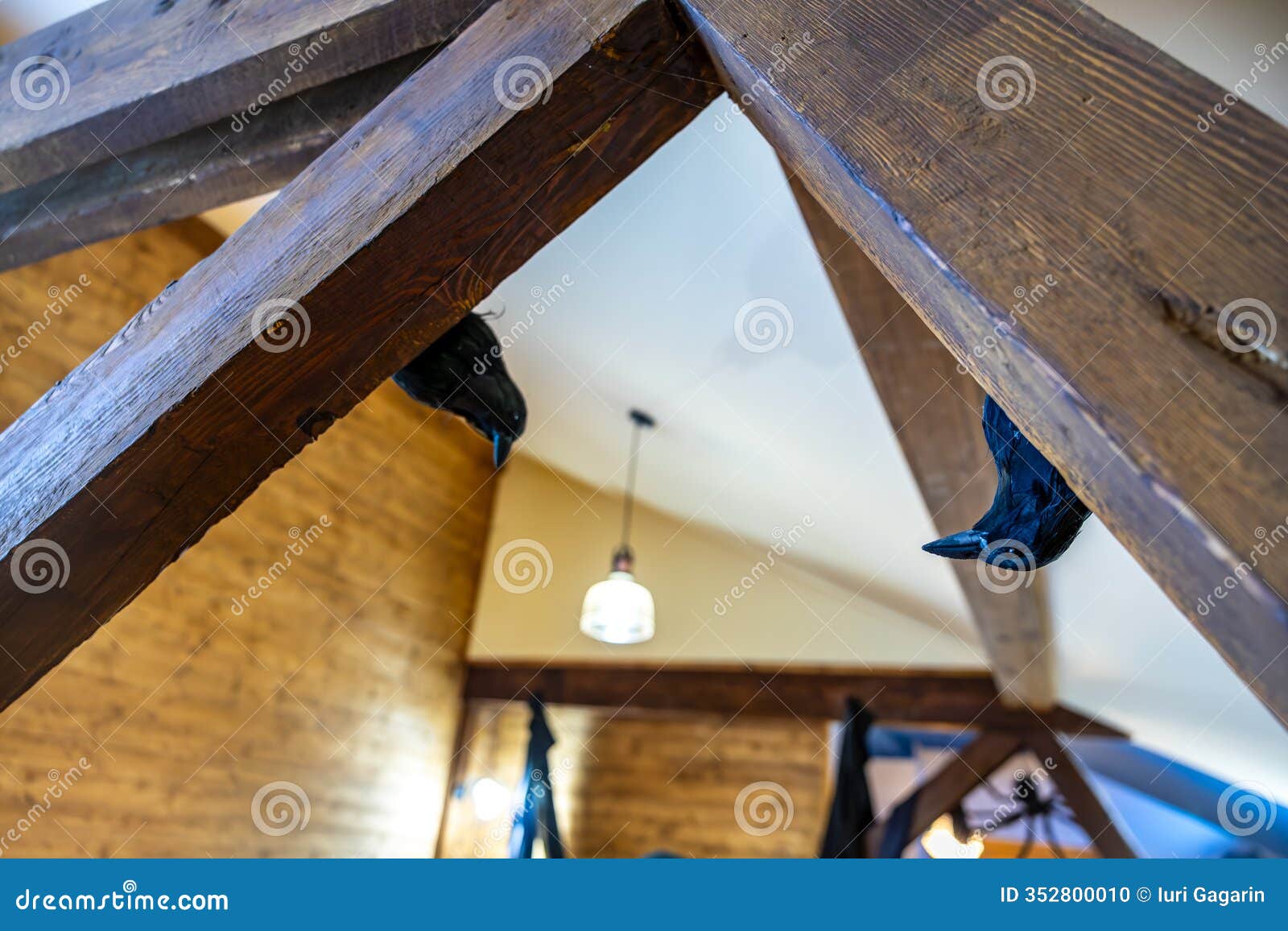 Decorative Black Crows on Rustic Wooden Beams in Cozy Interior Space ...