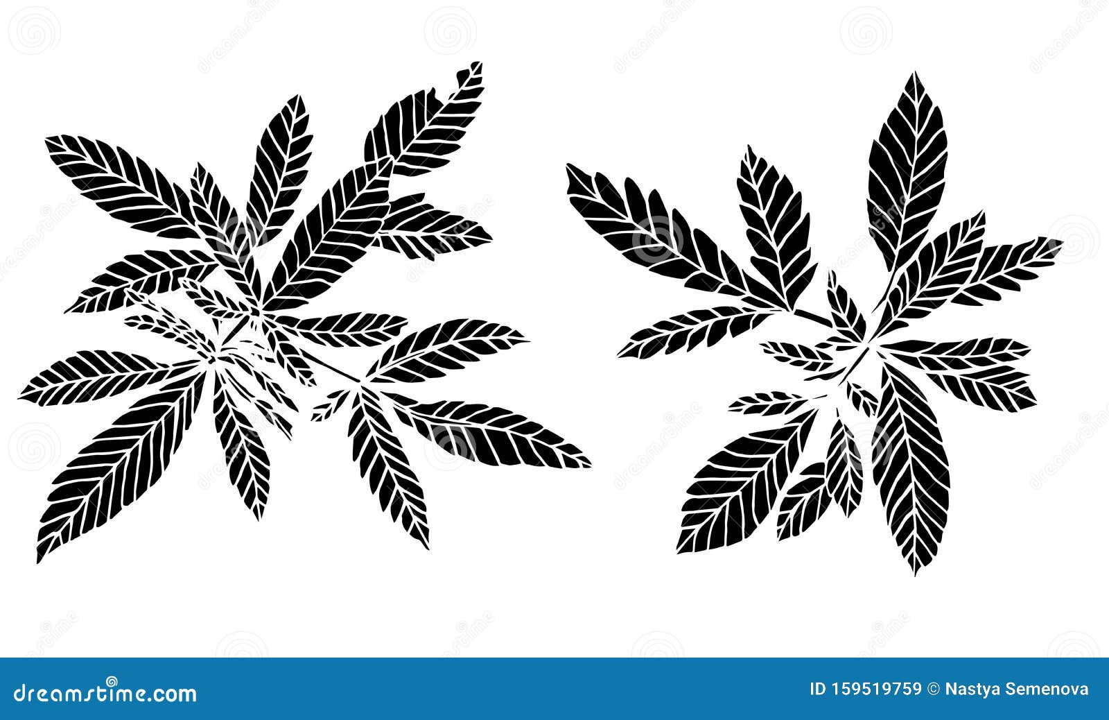 Decorative Black Trafaret Set Branch of Big Hemp Stock Illustration ...