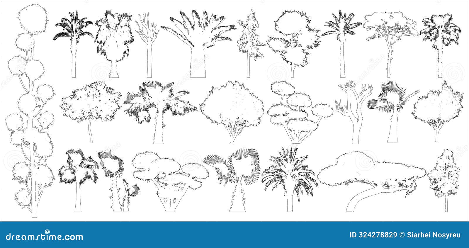 Decorative Bonsai, Palms, Other Coniferous Trees Contour, Set. Vector ...