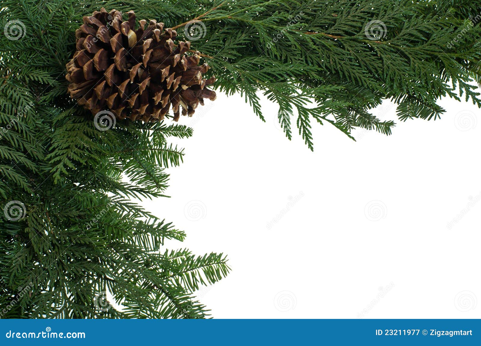 Decorative Border with Pinecone Stock Image - Image of border, holiday ...