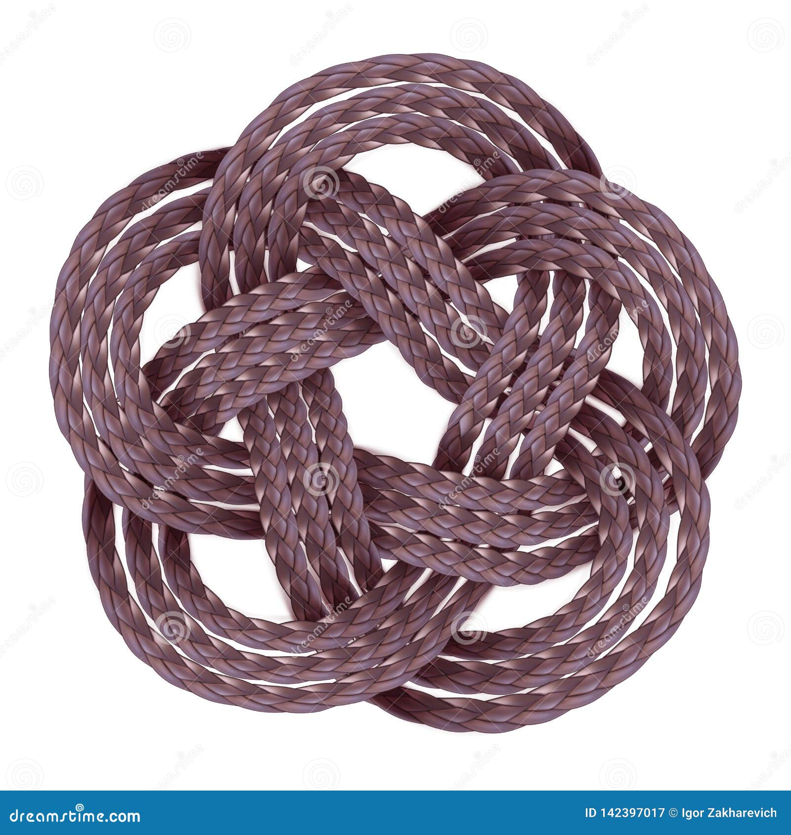 Braided Rope Illustration