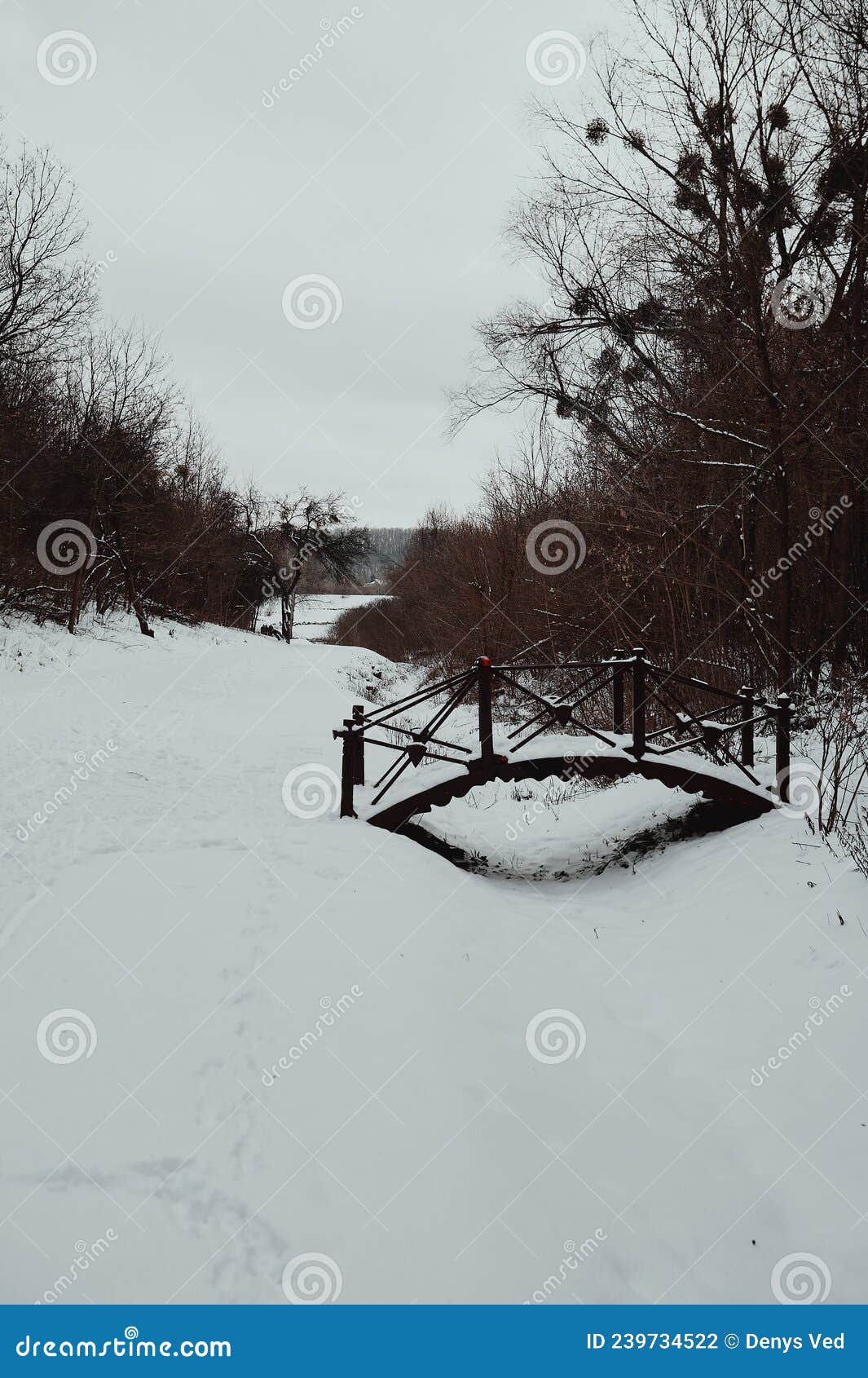 Decorative Bridge in the Snow in the Forest Stock Photo - Image of park ...