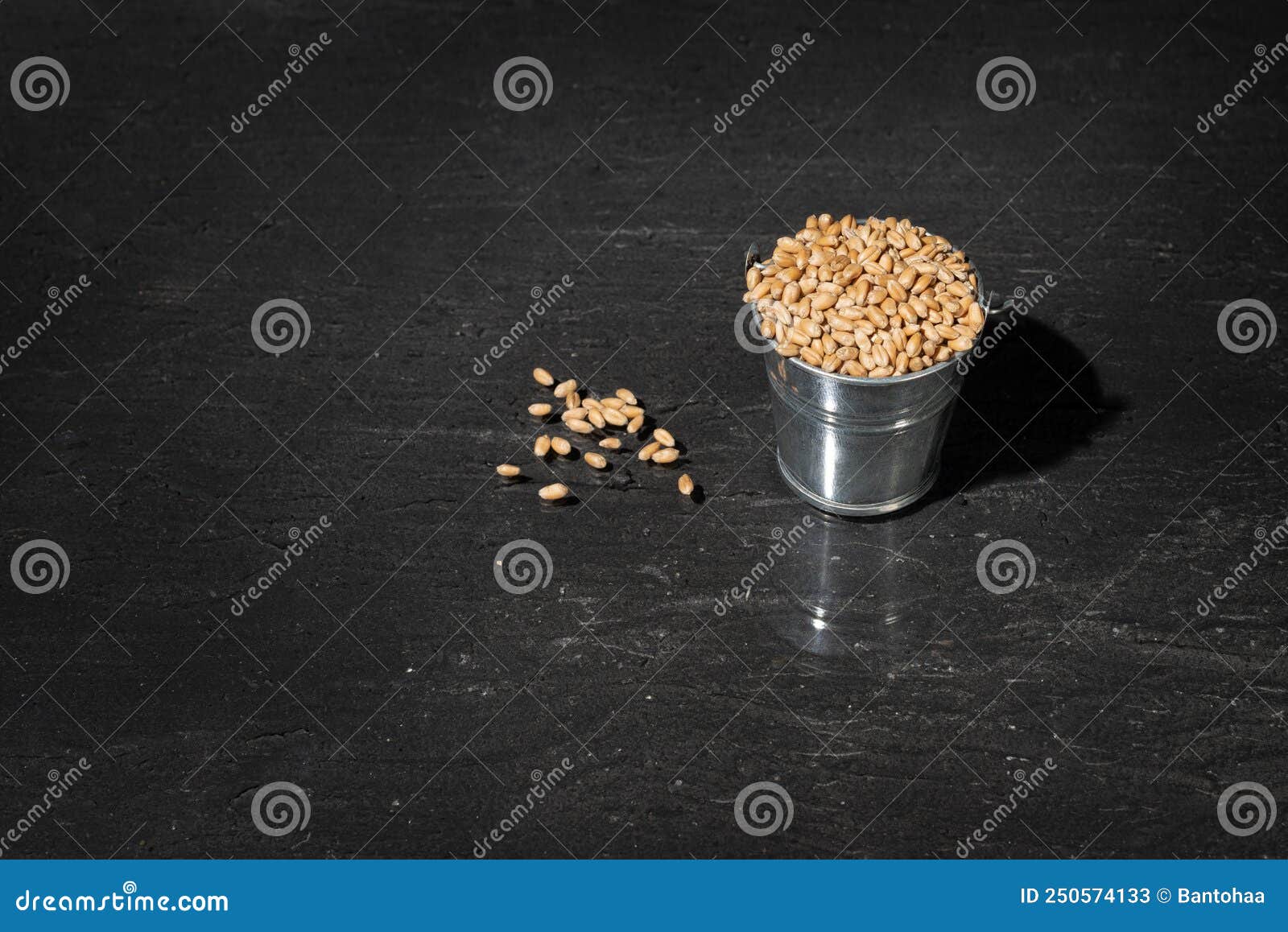 Decorative Bucket of Wheat, the Concept of World Bread Shortage Stock ...