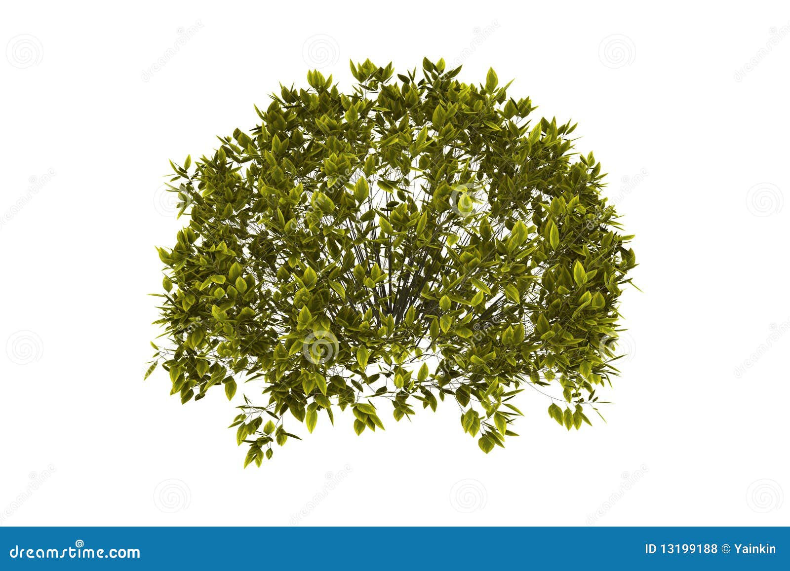 Object Bush Stock Illustrations – 22,559 Object Bush Stock ...