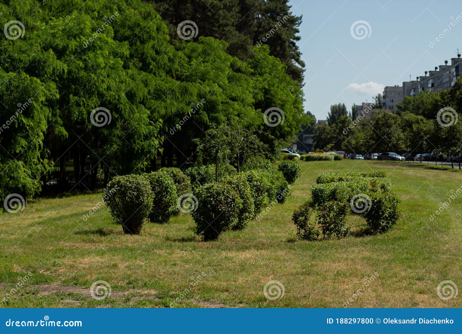 Decorative Bushes in a Park among the City Stock Photo - Image of ...