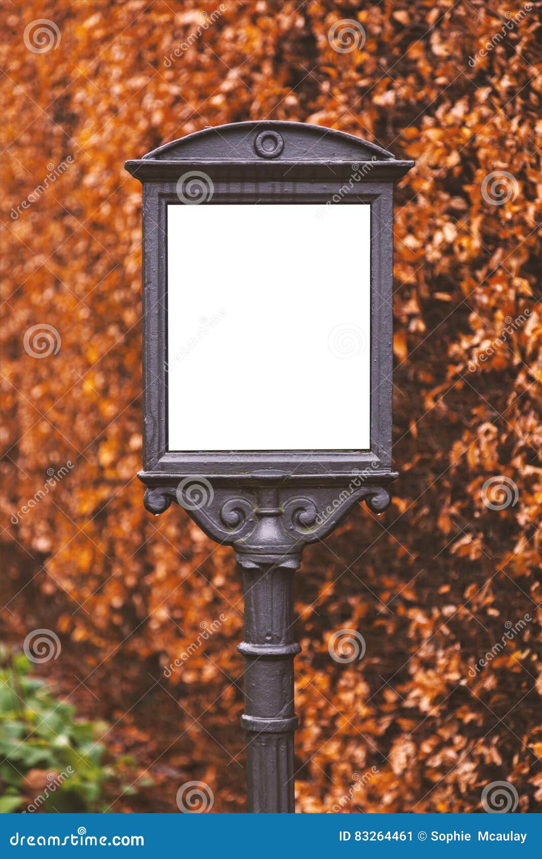 Decorative cast iron frame stock image. Image of empty - 83264461