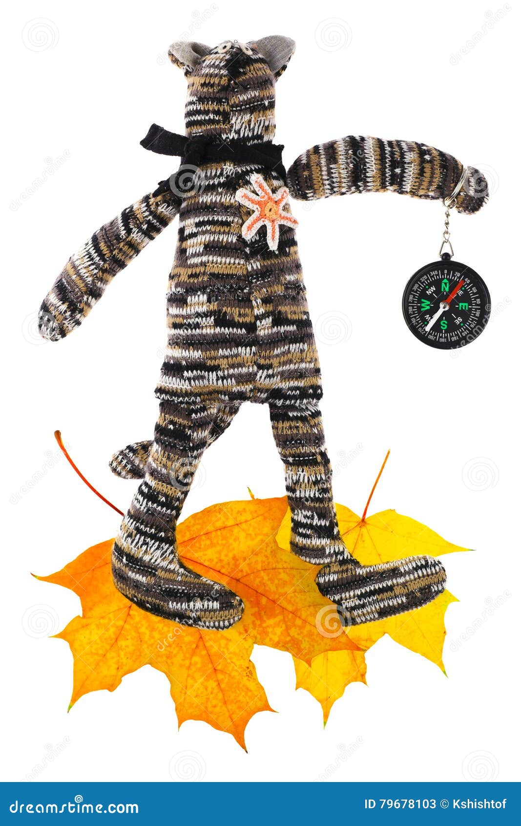 Decorative Cat with Compass and Autumn Leaves Stock Image - Image of ...