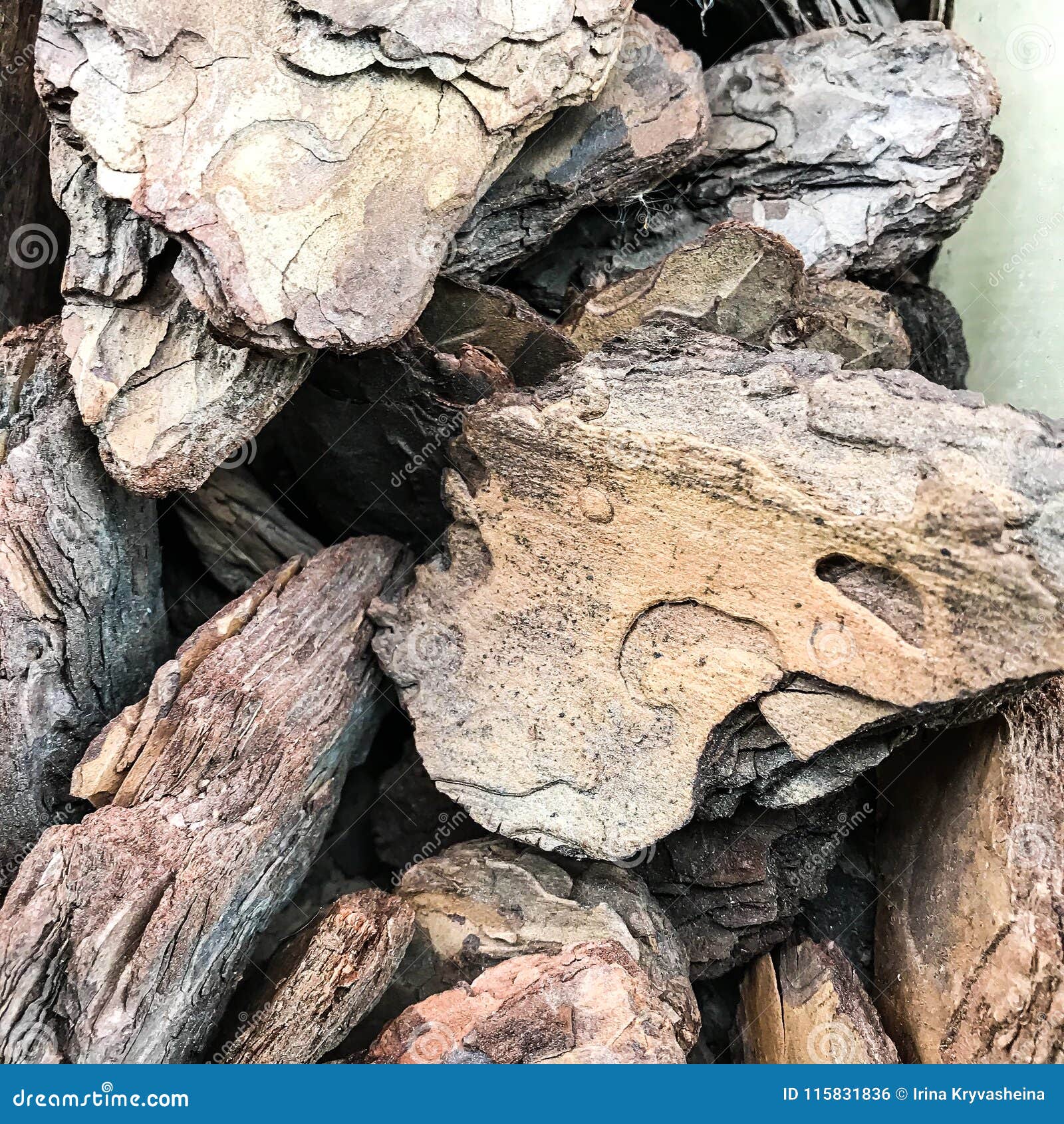 Decorative Chips from Bark of Tree Stock Photo - Image of gardening ...