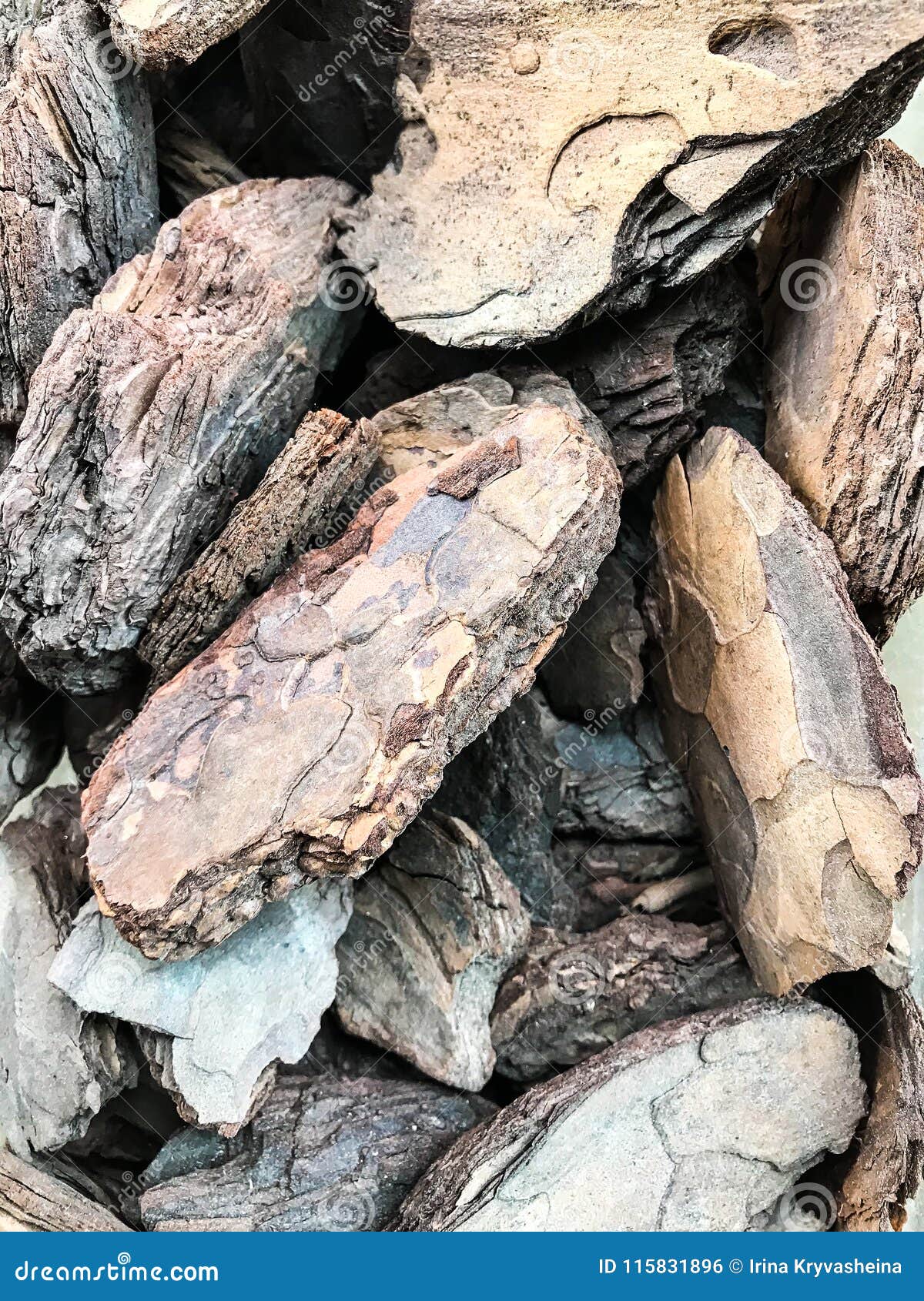 Decorative Chips from Bark of Tree Stock Photo - Image of decorative ...