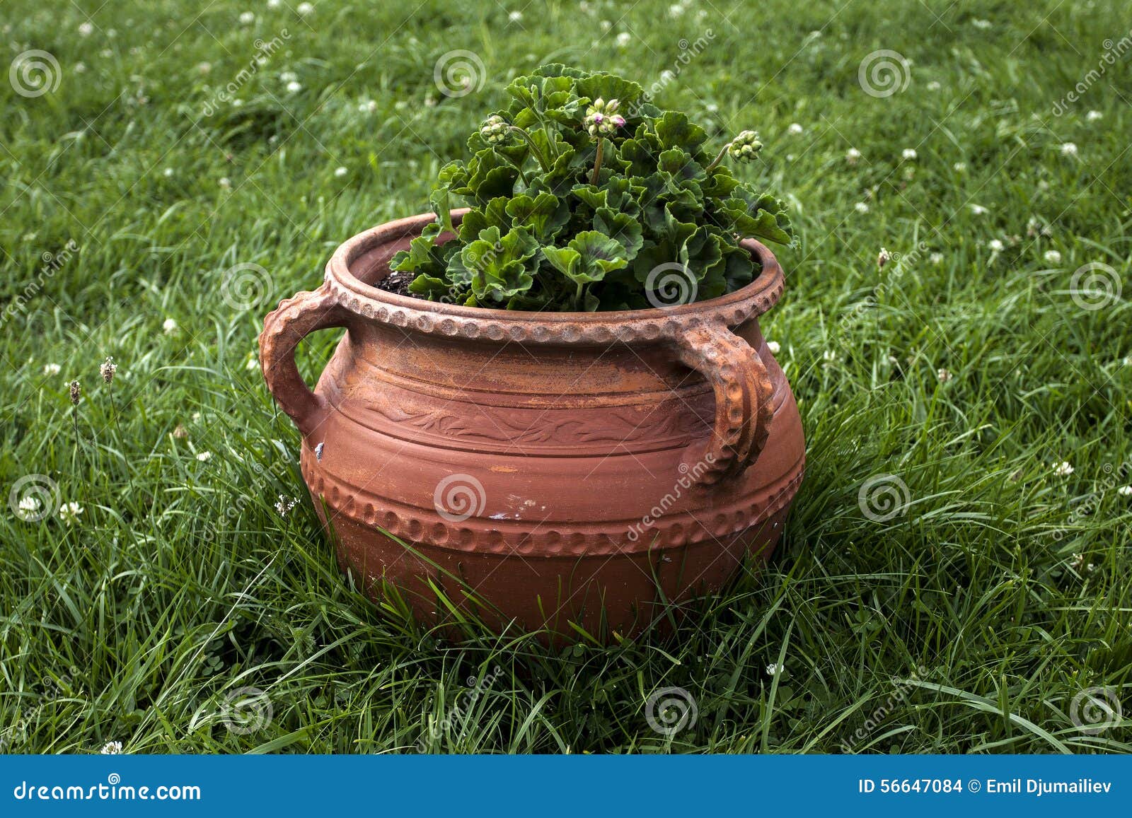 Decorative Clay Pot with Beautiful Flowers Stock Photo - Image of ...