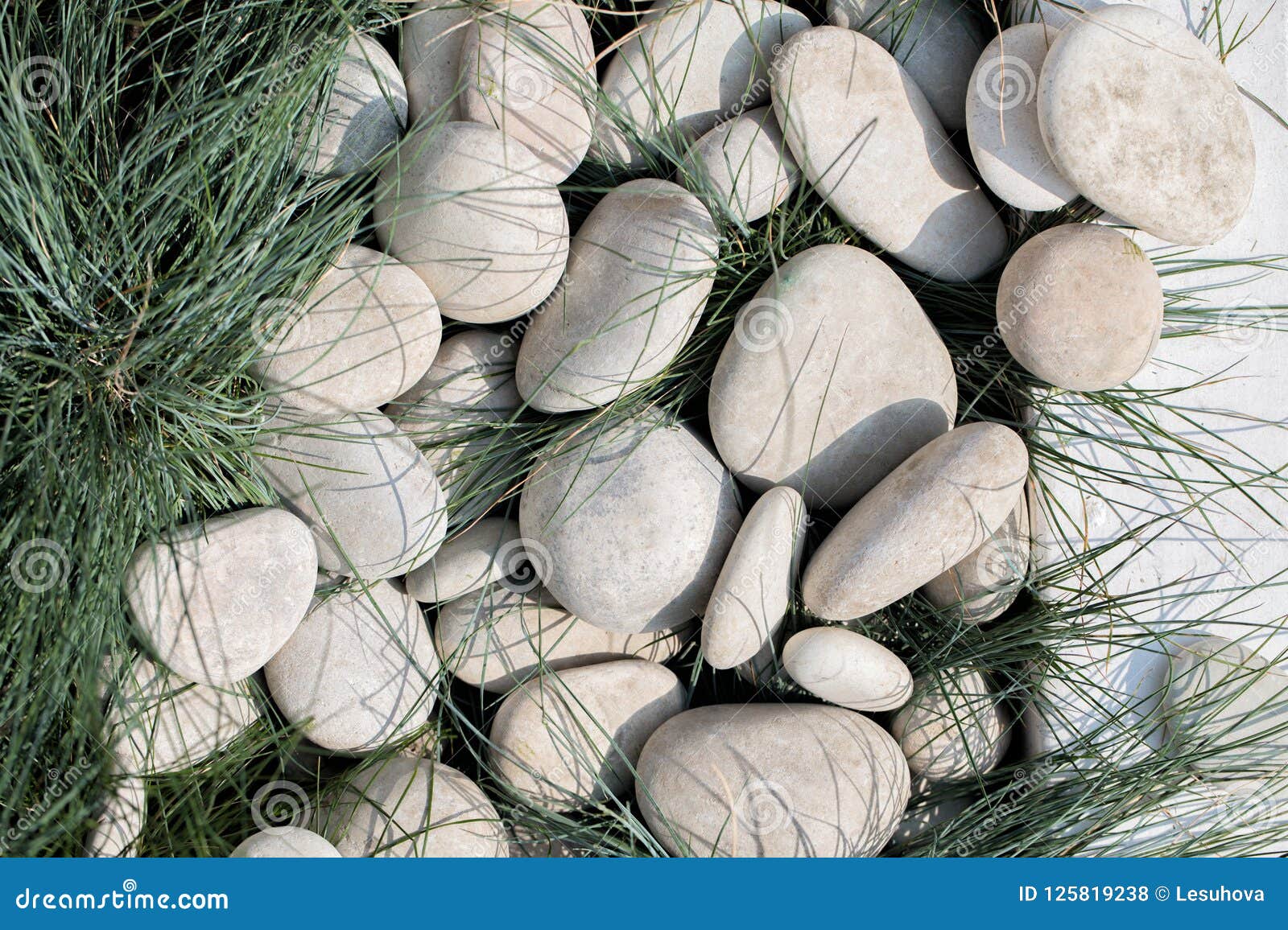 Decorative Cobblestone and Green Grass Stock Photo - Image of road ...