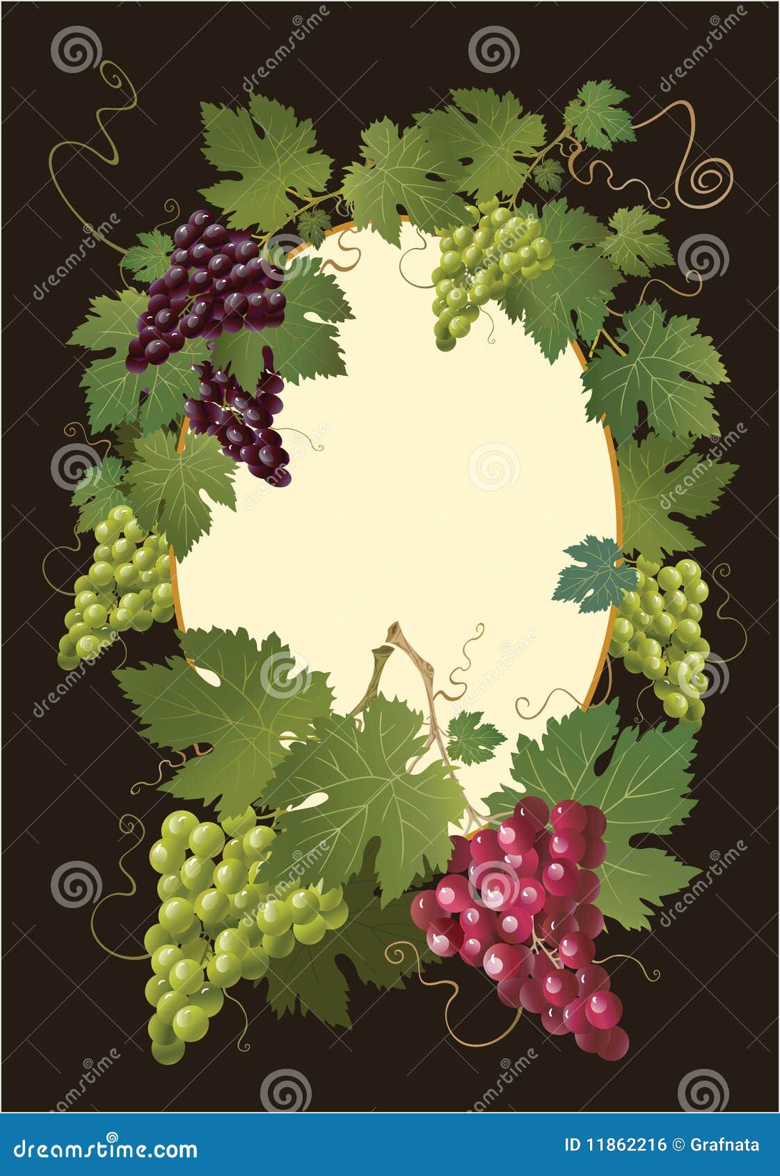 Decorative colorful grape stock vector. Illustration of violet - 11862216