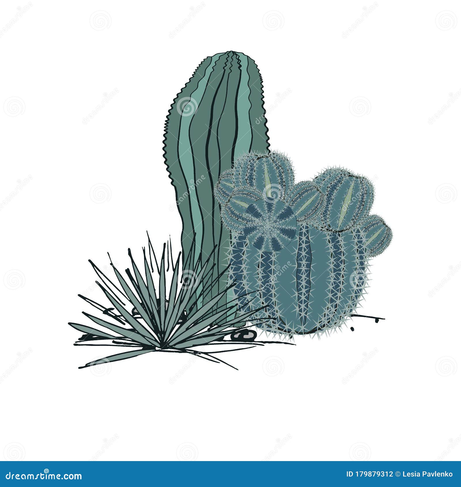 Yucca Vector Icon On White Background. Flat Vector Yucca Icon Symbol ...