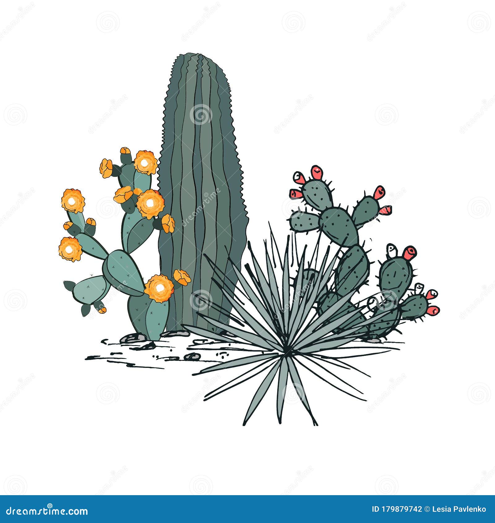 3d Illustration Of Yucca Elata Isolated On White Background Royalty ...